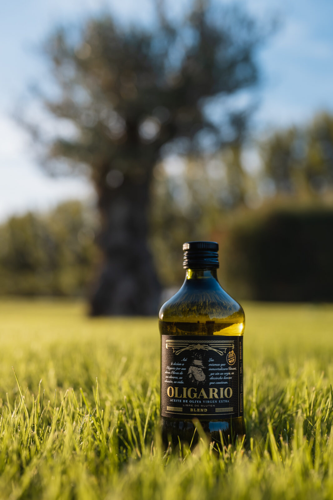 Oligario - La Estacada